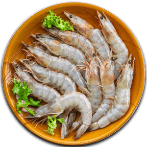 Best Online Fresh Chicken & Mutton Meat Shop in Coimbatore